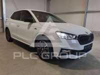 Buy 2024 Skoda Fabia from Europe at 26119 € in Ukraine | PLC Group